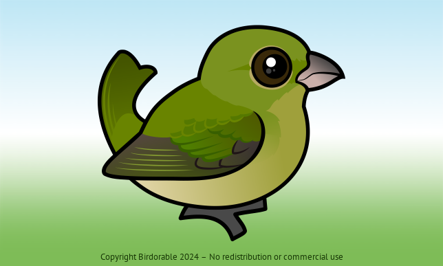 The Colorful World of the Painted Bunting | Birdorable Birds