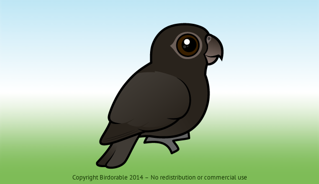 Meet the Greater Vasa-Parrot of Madagascar | Birdorable Birds