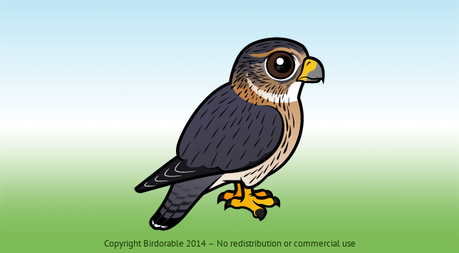 Cute Merlin by Birdorable