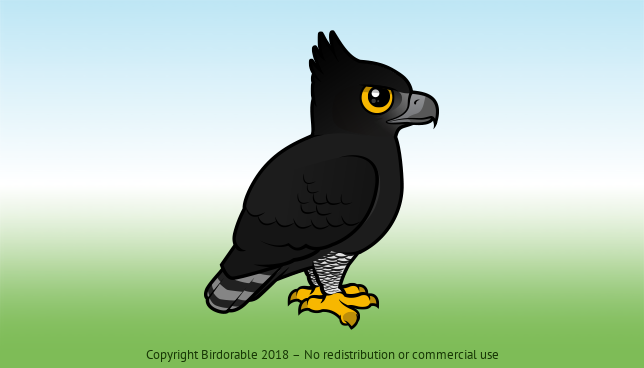 Read About the Elusive Black Hawk-Eagle | Birdorable Birds