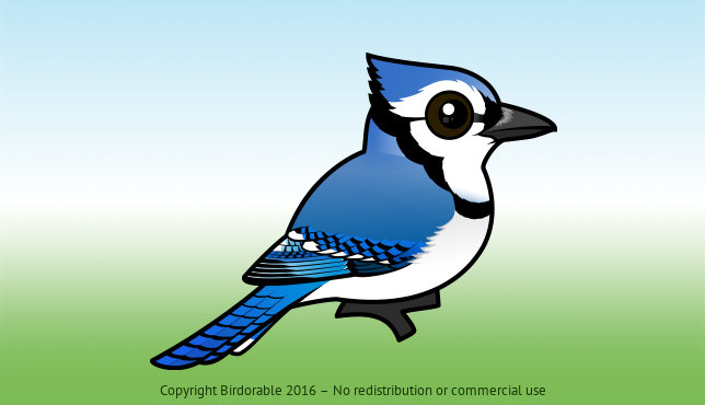 Meet the Cute Blue Jay by Birdorable | Meet the Birds