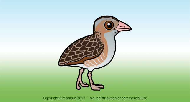 Cute Corn Crake by Birdorable