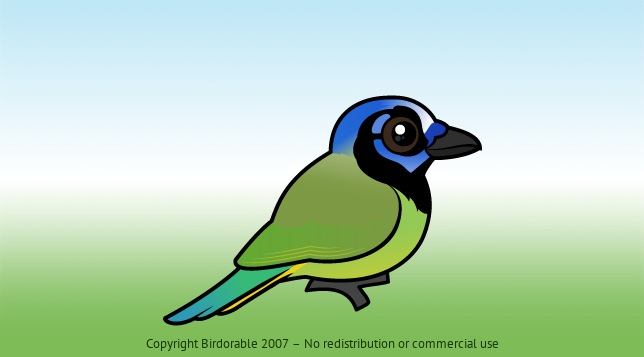 Meet the Social and Adaptable Green Jay | Birdorable Birds