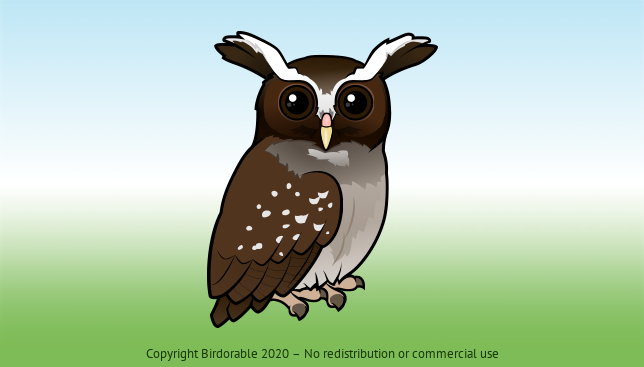 Crested Owl: Silent Hunter of the Rainforest | Birdorable Birds