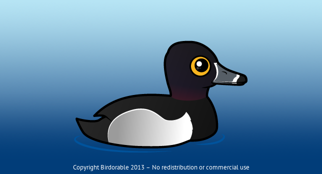 Cute Ring-necked Duck by Birdorable