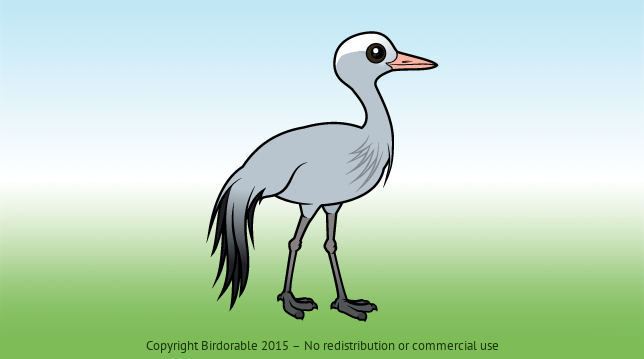 Birdorable's Cute Cartoon Blue Crane - Info & Gifts