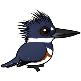 Cute Belted Kingfisher by Birdorable