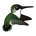 Meet the Cute Ruby-throated Hummingbird by Birdorable