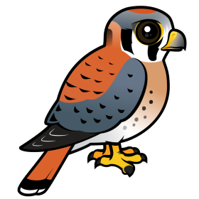 Cute American Kestrel / Sparrow Hawk by Birdorable