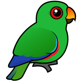 Cute Eclectus Parrot by Birdorable