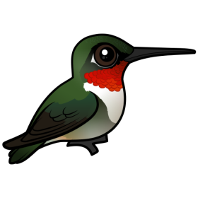 Meet the Cute Ruby-throated Hummingbird by Birdorable