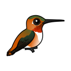 Cute Rufous Hummingbird by Birdorable