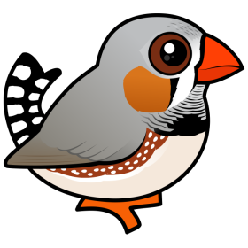 Cute Zebra Finch by Birdorable