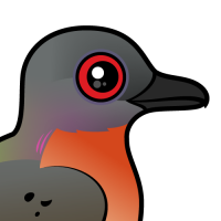 Cute Passenger Pigeon by Birdorable