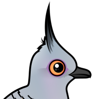 Birdorable's Cute Cartoon Crested Pigeon Bird Meet Page