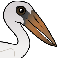 Meet the Asian Openbill by Birdorable