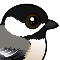 Meet the Cute Black-capped Chickadee by Birdorable