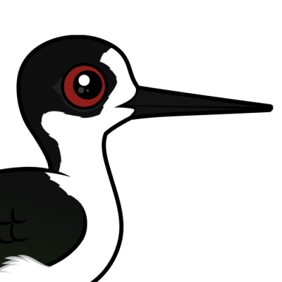 Cute Black-winged Stilt by Birdorable