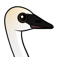 Trumpeter Swan info from Birdorable