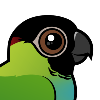 Cute Nanday Parakeet by Birdorable