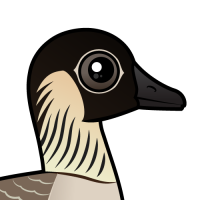 Meet the Cute Nene / Hawaiian Goose by Birdorable