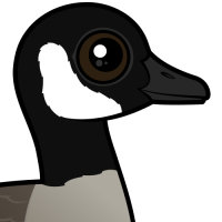 Cute Canada Goose by Birdorable