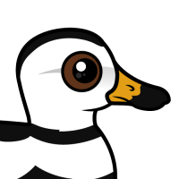 Cute Labrador Duck by Birdorable