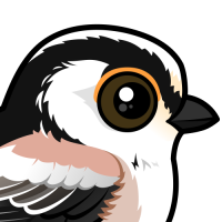 Meet the Long-tailed Tit: Fluffy Flock Bird | Birdorable Birds