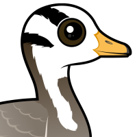 Birdorable Bar-headed Goose