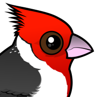 Discover the Vibrant Red-crested Cardinal with Birdorable