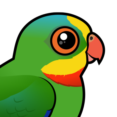 Read About the Superb Parrot