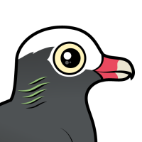 Meet the Cute White-crowned Pigeon by Birdorable