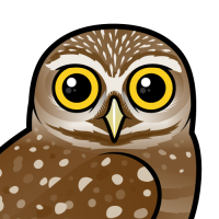 Cute Burrowing Owl by Birdorable