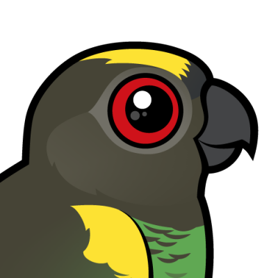 Cute Meyer's Parrot by Birdorable