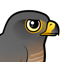 Cute Roadside Hawk by Birdorable