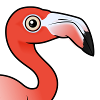 Meet the Vibrant American Flamingo by Birdorable | Meet the Birds