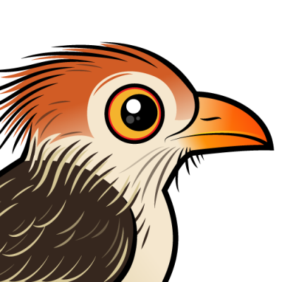 Cute Guira Cuckoo by Birdorable