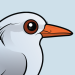 Read About the Kagu