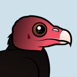 Vulture Humor: Funny Jokes about Vultures by Birdorable