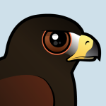 How Old Would You Be in Bird Years? Bird Ages vs. Human Ages