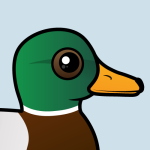 The familiar Mallard, Birdorable-style