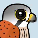 Birdorable #99: The Common Kestrel