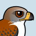 Bonanza Bird #18: Ferruginous Hawk
