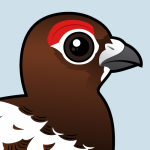 Birdorable Blog - Bird News, New Species & Fun Stuff