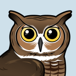 Not Just Night Owls: The Truth About Owl Activity