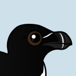 Razorbills out of range