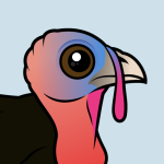 Learn About Caruncles On Birds: Wattles, Dewlaps, etc