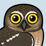 Happy International Owl Awareness Day from Birdorable