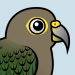 Kea, the Sheep-eating Parrot