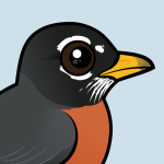 What is a Brood Patch? Why and When Do Birds Have Them?